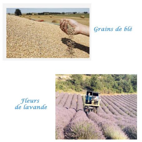 Bouillotte couleur caramel, chauffe micro-ondes, avec blé & lavande